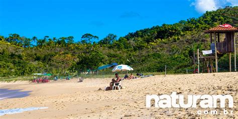 Praia Vermelha Do Norte Ubatuba Guia 2024 NATURAM