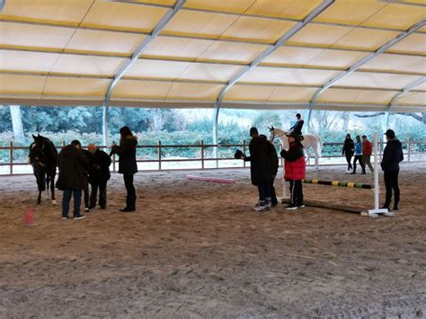 Disabili In Sella Al Centro Ippico L Antellino Un Progetto Di Sport