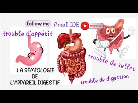 La S Miologie De L Appareil Digestif Youtube