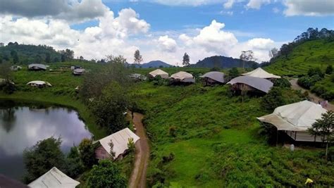 Berkemah Dengan Panorama Kebun Teh Di Glamping Lakeside Rancabali