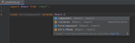 react intellij idea documentation