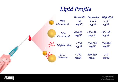 Lipid Profile Test Or Lipid Panel Elara Care Off