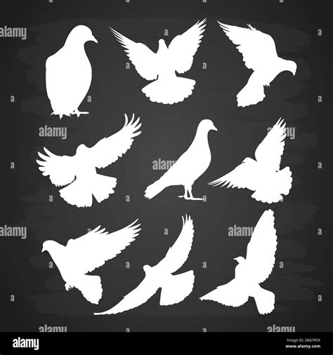 Vectores De Vectores De Paloma Religiosa Fotograf As E Im Genes De Alta