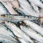 Benefits Of Selenium Absolutely Everything You Need To Know