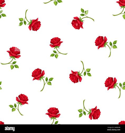 Vector patrón sin fisuras con flores rosas rojas sobre un fondo blanco