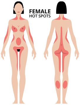 7 Erogenous Zones Of A Female Telegraph