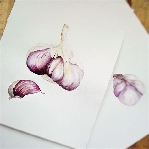 Garlic Watercolor Painting Watercolour Art Acquerello Mappe