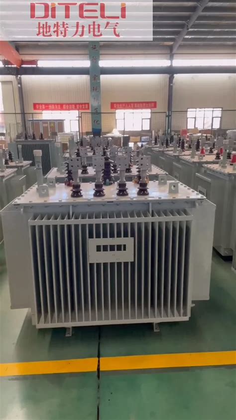10kv 600kva Hermetically Sealed Oil Immersed Three Phase Two Winding