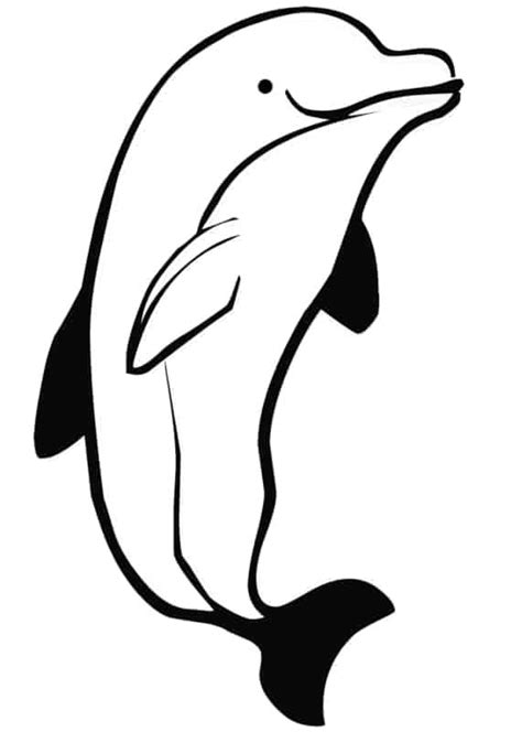 Desenhos De Boto Cor De Rosa Para Colorir Pintar E Imprimir