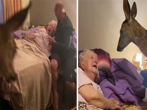 Une vieille femme amoureuse de Bambi réalise son rêve de voir un cerf
