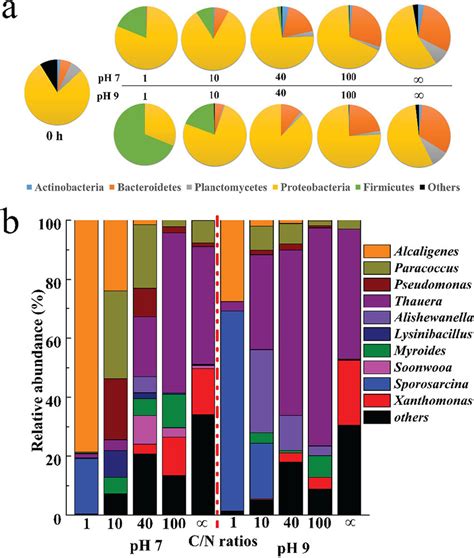 The Microbial Community Composition At Different C N Ratios