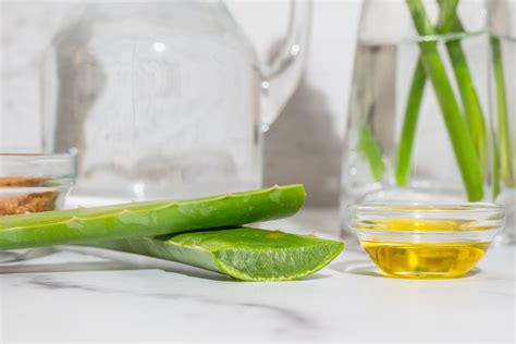 3 mascarillas con aloe vera para refrescar tu piel en época de calor