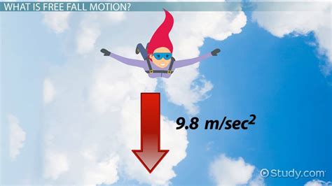 Overview Of Graphs Of Free Fall Motion Video Lesson Transcript