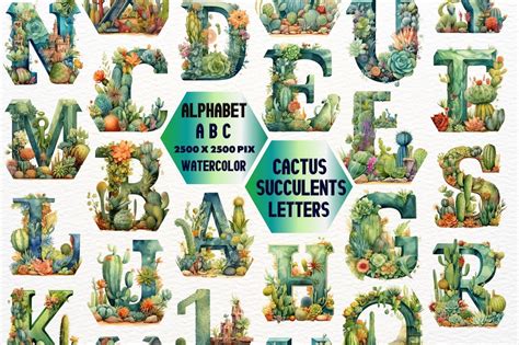Cactus Alphabets Clipart Cactus Alphabet Succulent Font Succulent