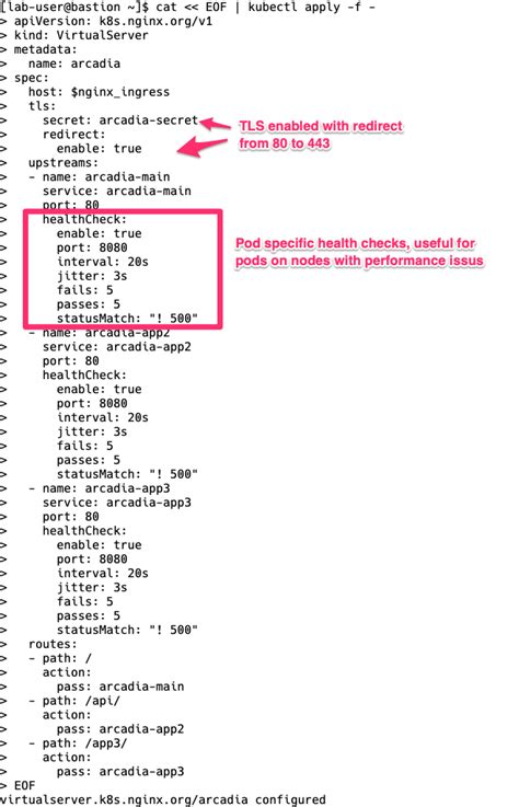 4 NGINX Kubernetes Ingress Controller Examples