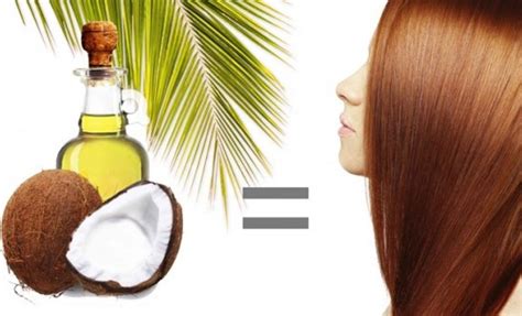 Cómo aplicar el aceite de coco para el pelo Tutorial Vibra