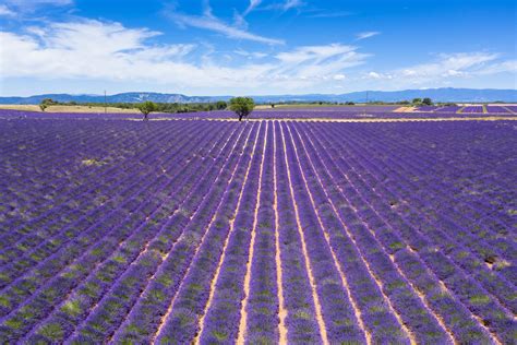 De Valensole à Grasse par les Gorges du Verdon Route touristique