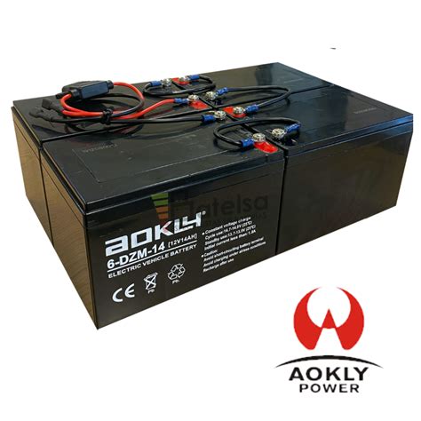 Kit baterías Movilidad 48 Voltios 14 Amperios 6DZM14 C Cables Batelsa