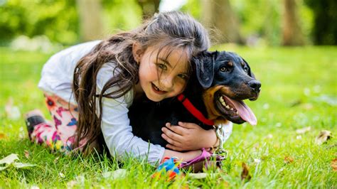 Involucrar A Mis Hijos Con El Cuidado De Las Mascotas GLN Magazine