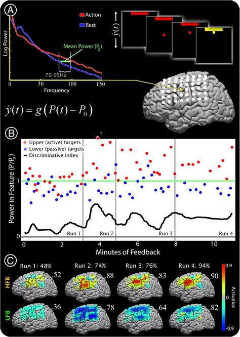 cortical activity during motor execution motor imagery and imagery based online feedback pnas