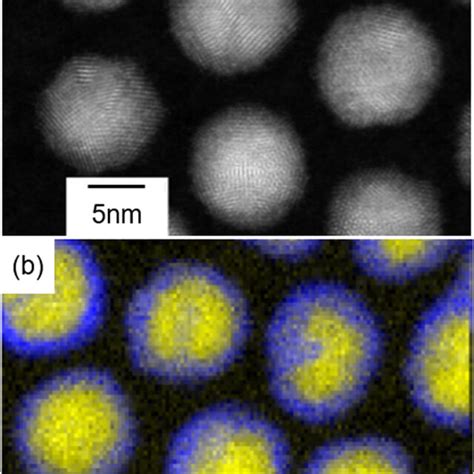 Electron Microscopy Characterization A Tem Images Of Au Nm Sc
