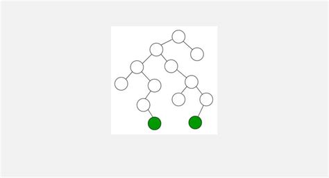 a beginner s guide to binary trees