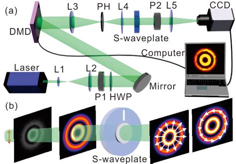 Tailoring Light Fields With A Digital Micromirror Device
