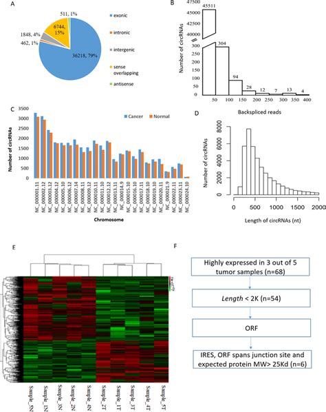 Differential Expression Profile Of Circrnas In Human Gastric Cancer