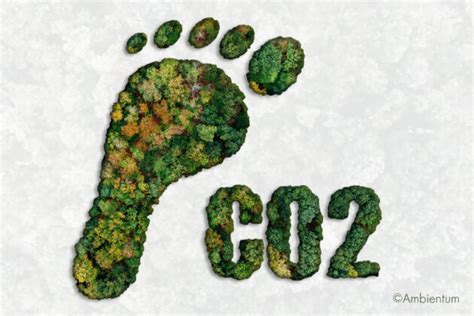 Qué es la huella de carbono Ambientum Portal Lider Medioambiente