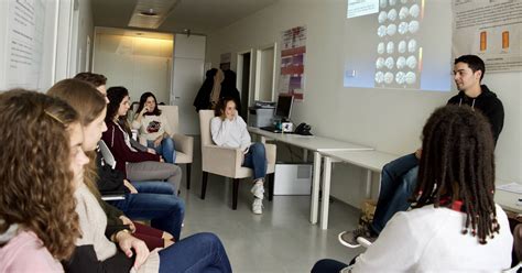 Im Genes Proyecto Piiisa