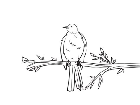 Cute Bird Vector Illustration Standing On Top Of Tree Branch Outlined
