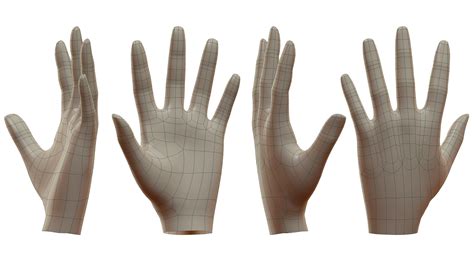 Hand Topology R Blender