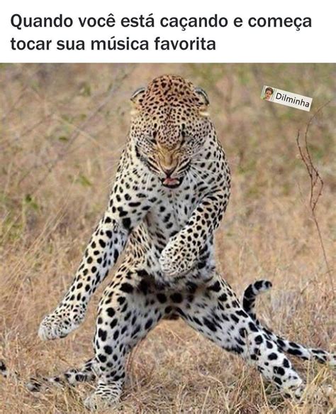 Quando você está caçando e começa tocar sua música favorita Memes