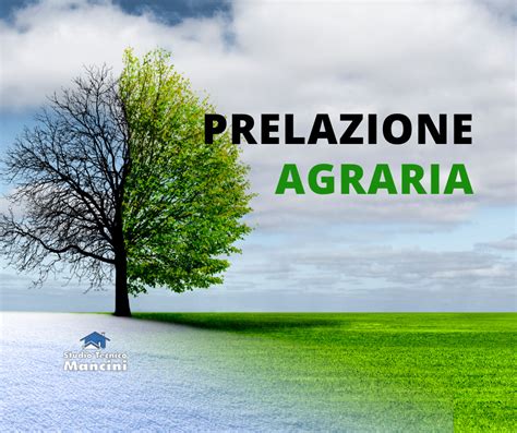 Prelazione Agraria Diritti e Modalità Studio Tecnico Mancini