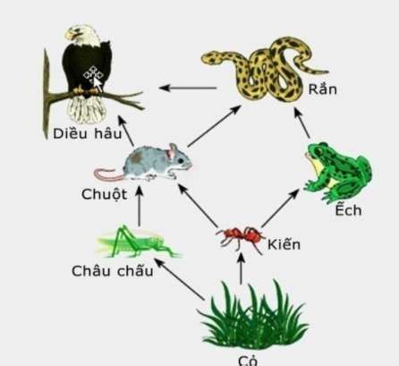 Chu I Th C N L G Cho V D Kh M Ph Chi Ti T C C B C Dinh D Ng
