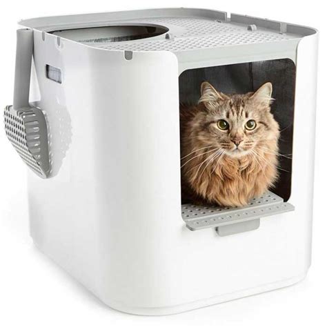 Areneros Para Gatos Grandes Cubiertos Y XXL FeelCats Atelier Yuwa Ciao Jp