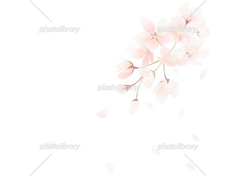 花びらが散る桜のイラスト イラスト素材 7387020 フォトライブラリー photolibrary