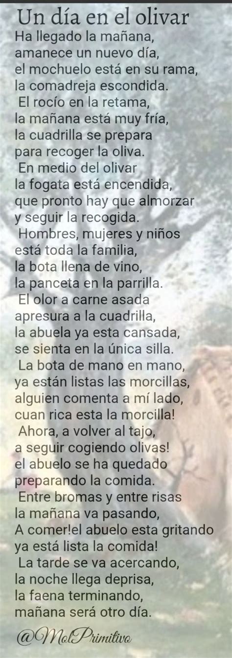 Pin De Rainbow Dash En Abel E Poemas De Inspiracion Poemas