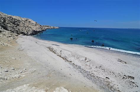 Reserva Nacional Mar Tropical De Grau Un Hito Para Proteger El