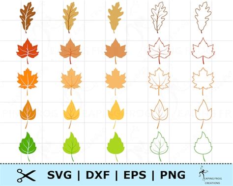 Fall Leaves SVG PNG Cut Layered Files Cricut Silhouette Etsy UK
