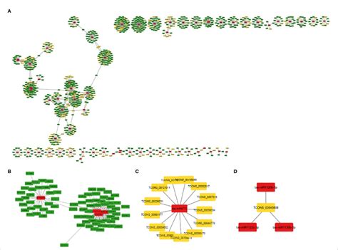 A An Interaction Network Shows Association Between LncRNAs MiRNAs