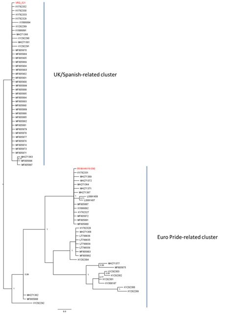 bayesian tree obtained with mrbayes program of hav sequences showing download scientific