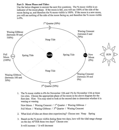 Diagram Depicts Tidal Height To Four Moon Phases Understandi