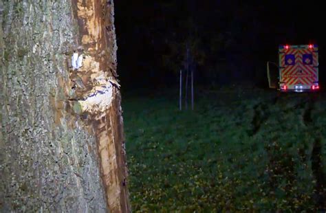 Rettungswagen Crash Fahrzeug Prallte Fast Frontal Gegen Baum
