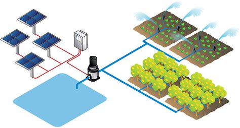 Solar Pumps Irrigation In TCI And The Caribbean Green Revolution