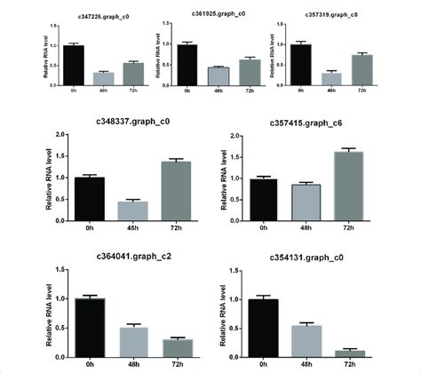 QRT PCR Verification Of DEGs The Relative Gene Expression Levels At