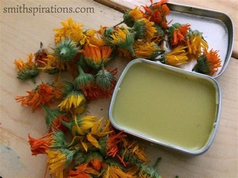 Calendula Cuticle Cream Plus 5 Other Calendula Recipes Cuticle