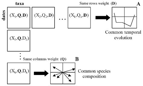 multiple co inertia analysis a tool for assessing synchrony in the temporal variability of