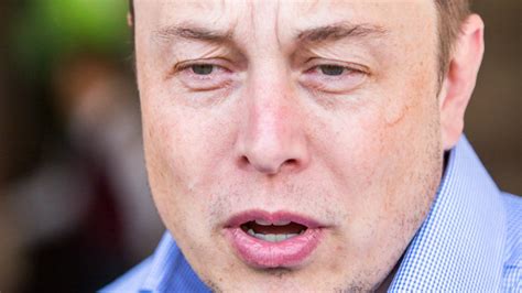 Does Elon Musk Have A Trans Kid CEO