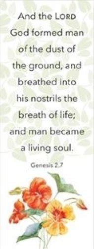 Bible Verse Bookmarks Lord God Formed Man Of The Dust Genesis